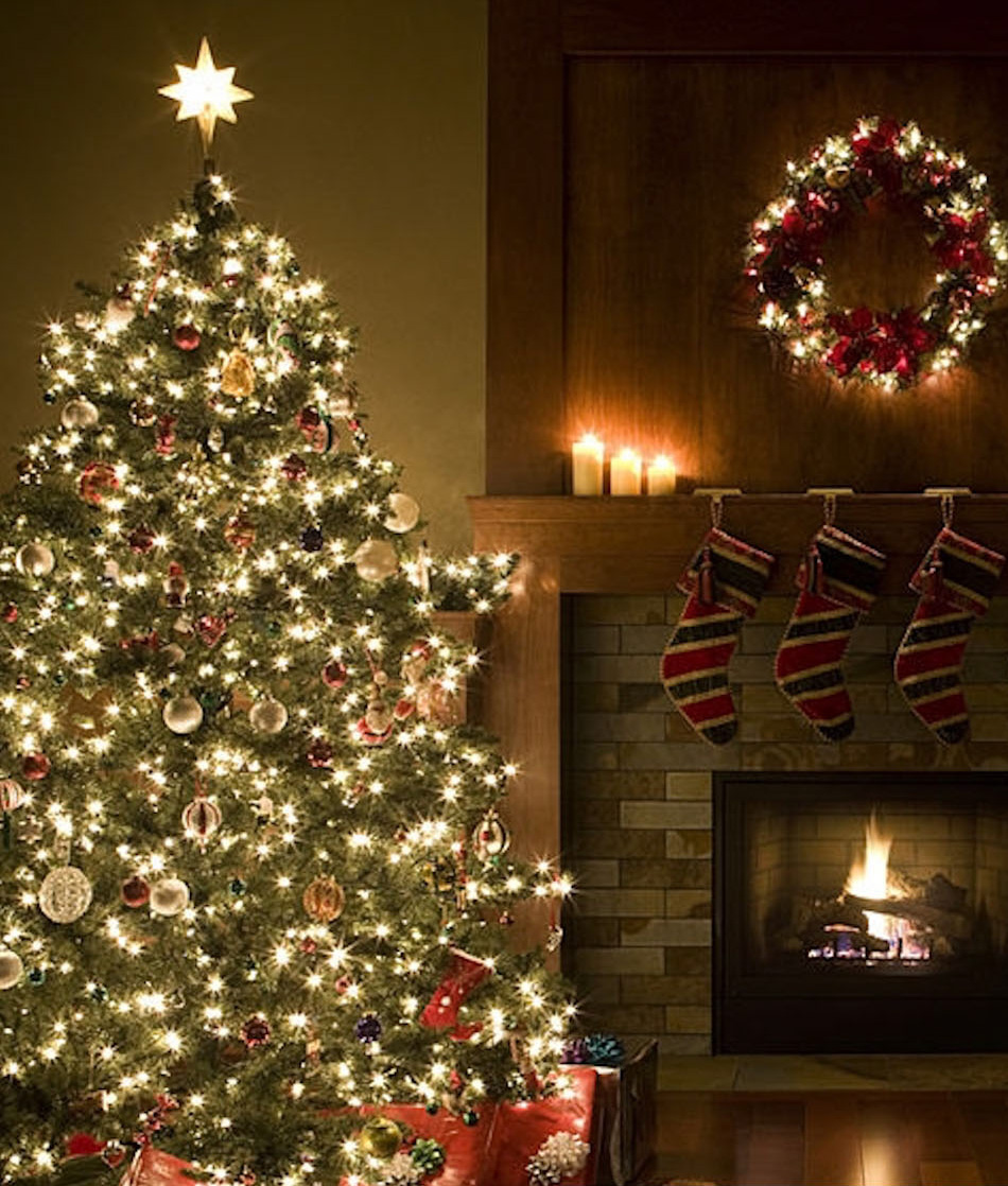 The Christmas Message! | The seed