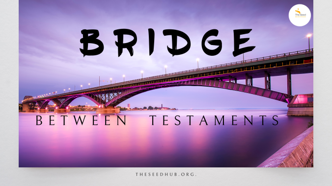 Bridge Between Testaments: Understanding Christ | The seed