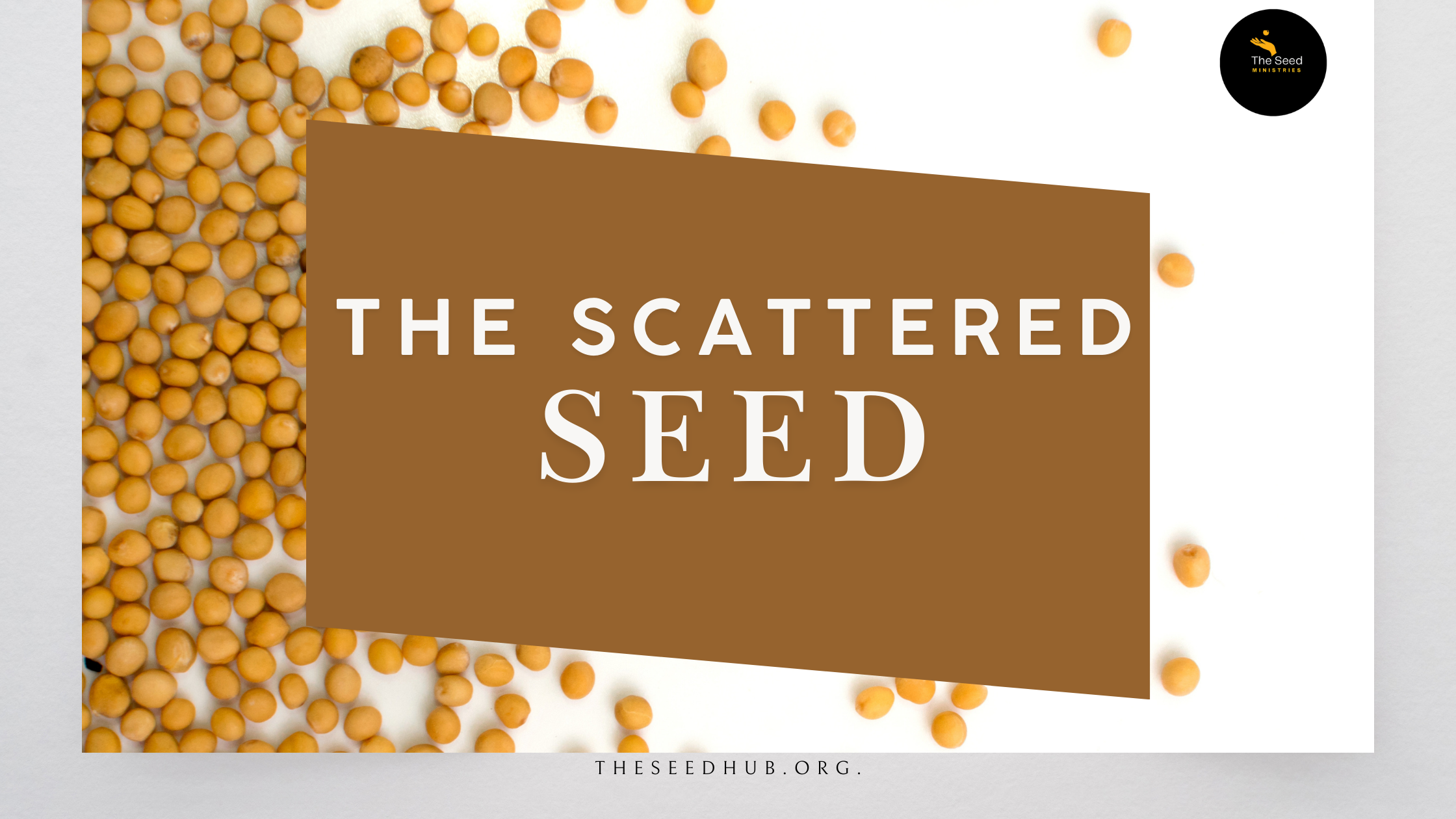 Understanding the Scattered Seed in the Parable of the Sower | The seed